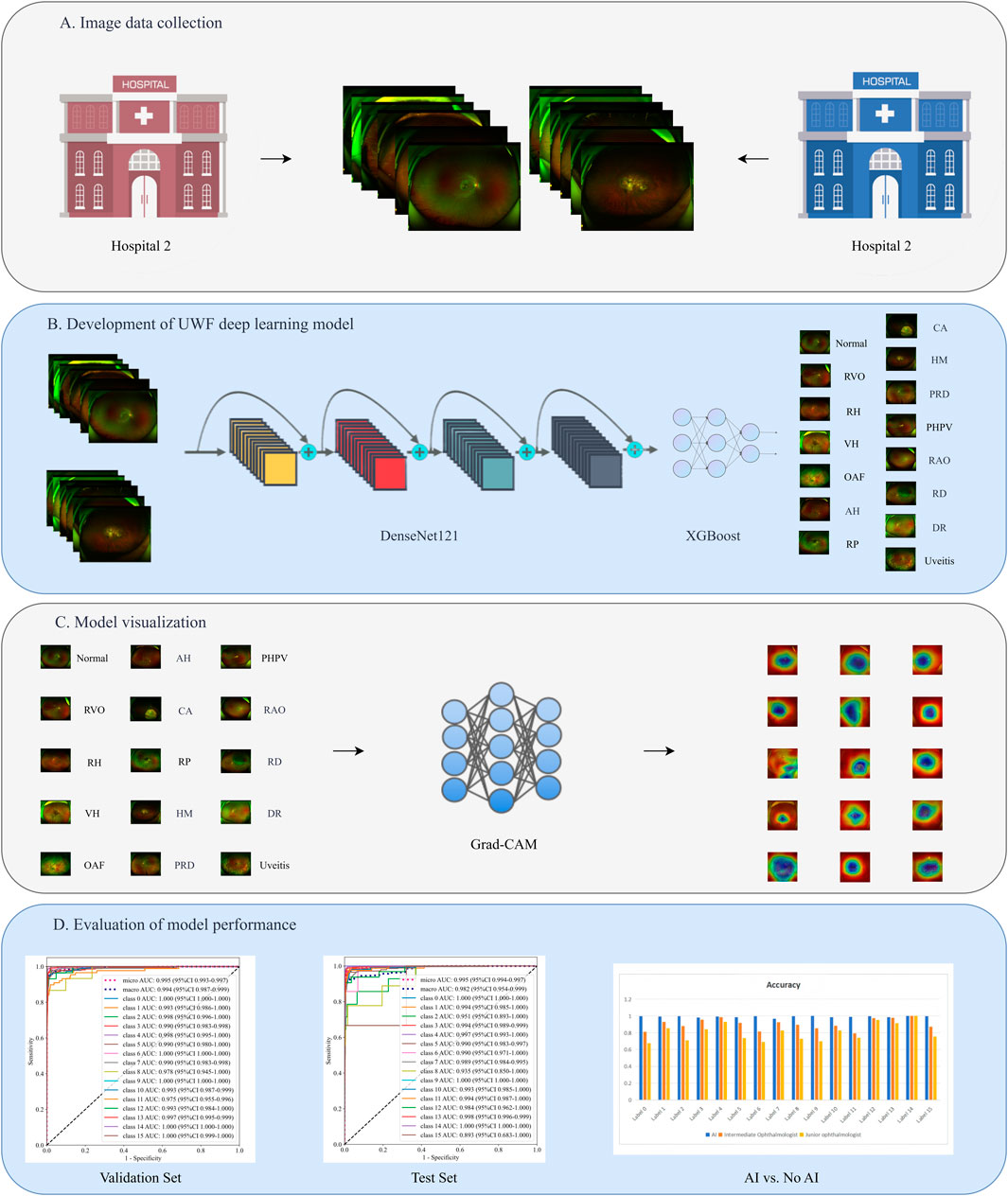 Frontiers | Deep learning-based classification of multiple fundus diseases using ultra-widefield ...