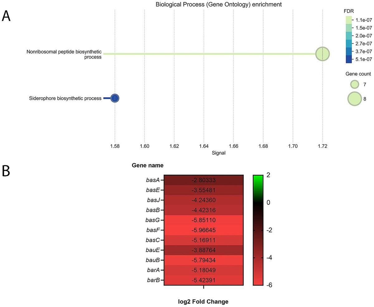 Frontiers | Transcriptomic and functional profiling of Acinetobacter ...