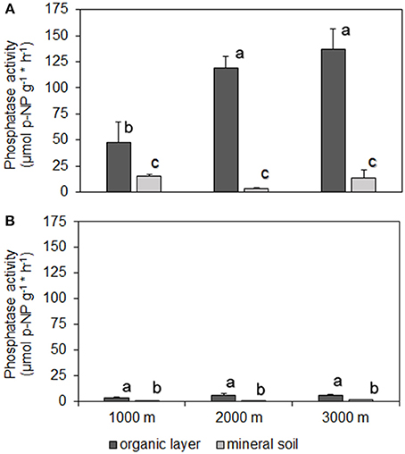 Frontiers | Nutrient Addition Modifies Phosphatase Activities along an ...