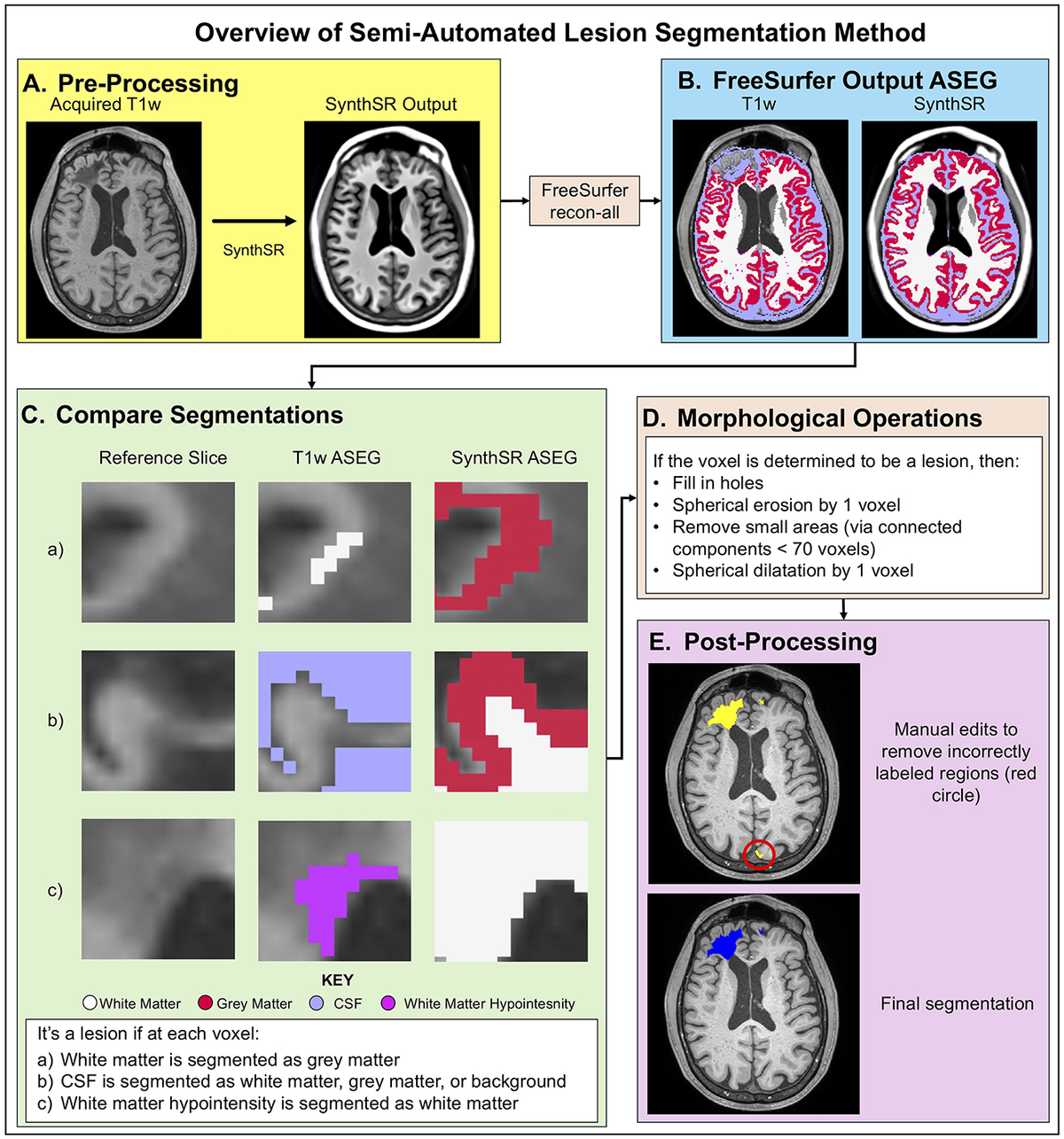Frontiers | Unsupervised semi-automated MRI segmentation detects ...