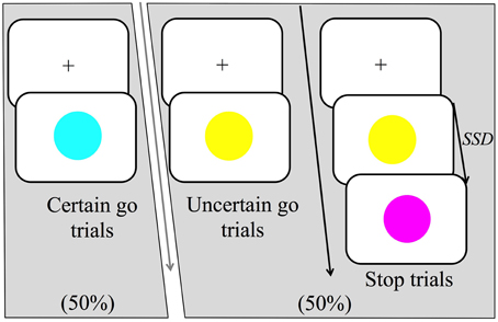 Frontiers | The effects of impulsivity and proactive inhibition on ...