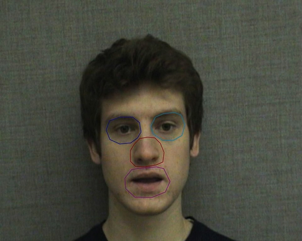 Frontiers | Differential Gaze Patterns on Eyes and Mouth During ...