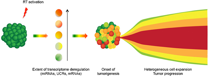 Frontiers | The Reverse Transcriptase Encoded by LINE-1 ...
