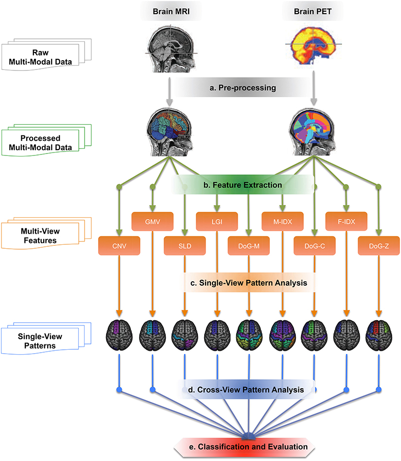 Frontiers | Cross-View Neuroimage Pattern Analysis in Alzheimer's ...