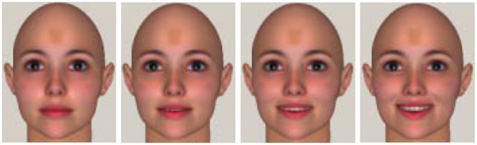 Frontiers | Robust Structure and Motion Factorization of Non-Rigid Objects