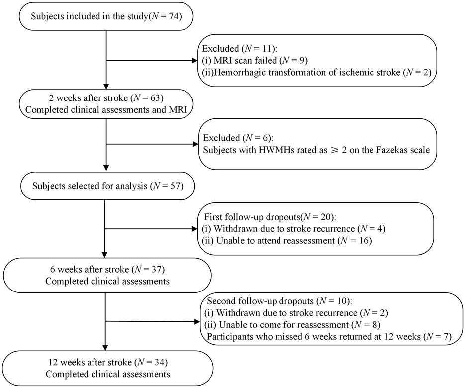 Frontiers | Correction: Early corticospinal tract sub-pathway lesion ...