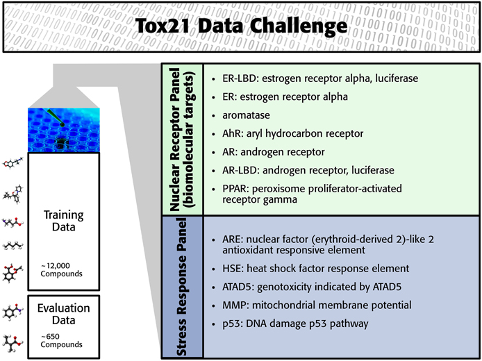 Frontiers | DeepTox: Toxicity Prediction using Deep Learning