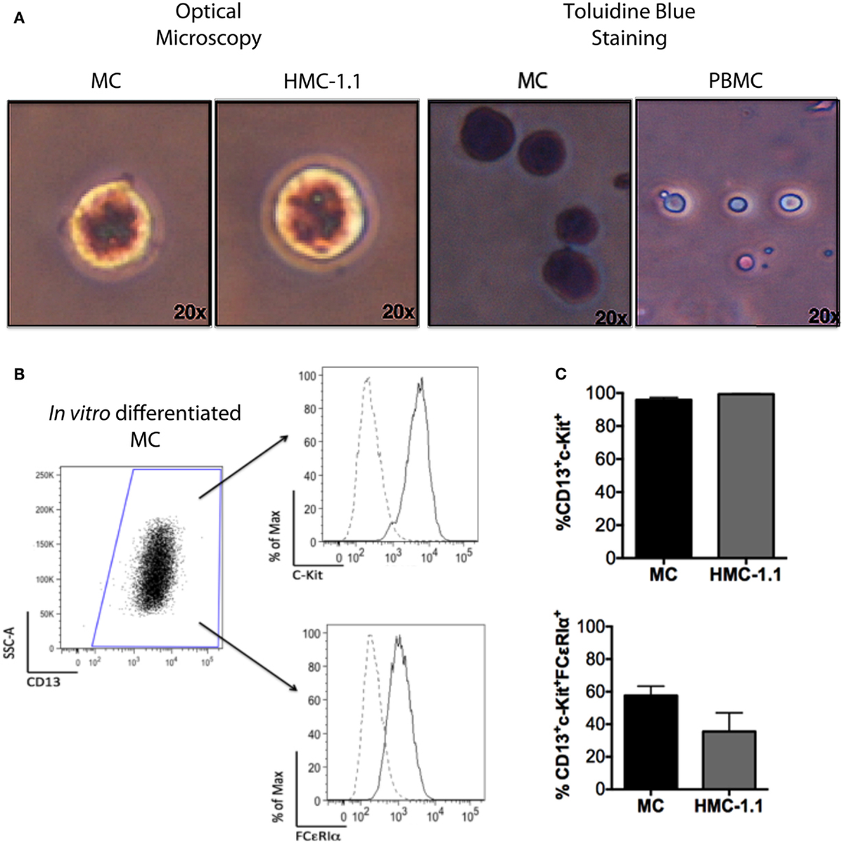 Frontiers | Tolerogenic IDO+ Dendritic Cells Are Induced by PD-1 ...
