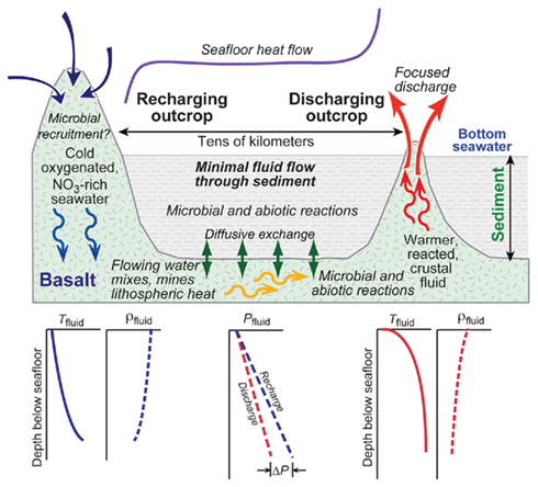 Frontiers | The Deep Subsurface Biosphere in Igneous Ocean Crust ...