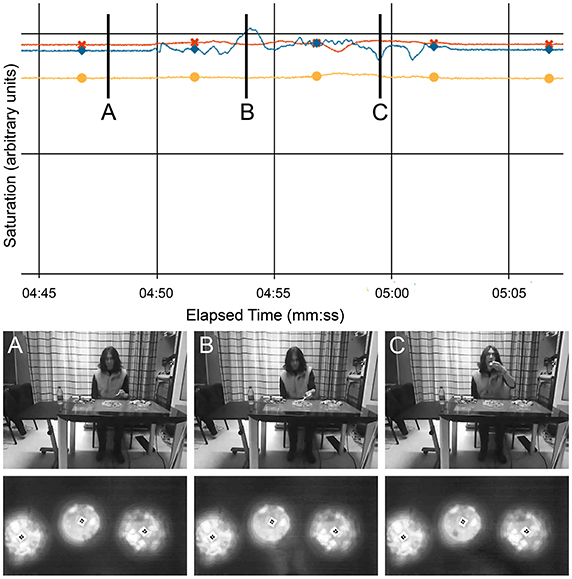 Frontiers | The “Smart Dining Table”: Automatic Behavioral Tracking of a Meal with a Multi-Touch ...