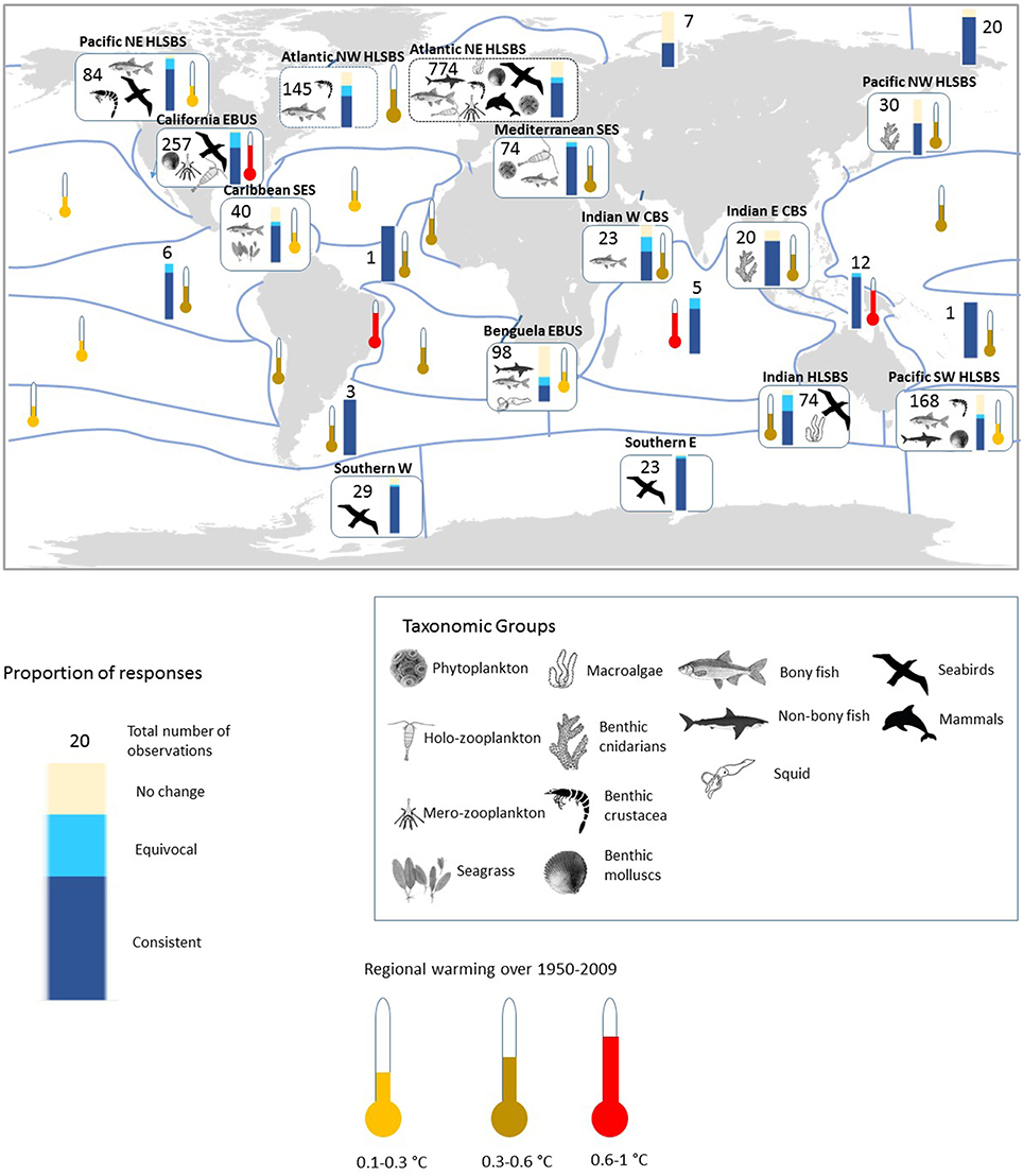 Frontiers | Responses of Marine Organisms to Climate Change across Oceans