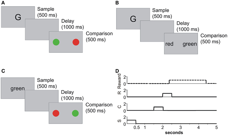 Frontiers | A Computational Theory for the Learning of Equivalence ...