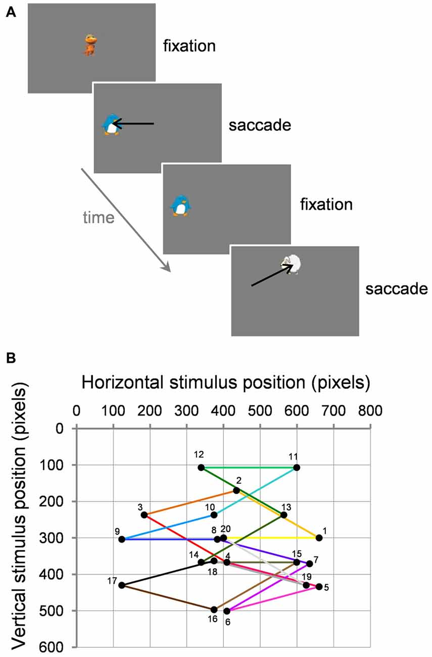 Frontiers | Saccadic Adaptation in 10–41 Month-Old Children