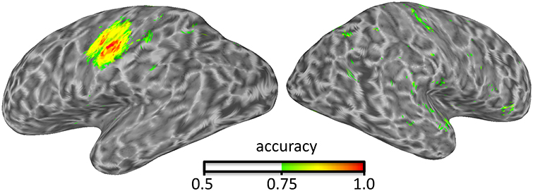 Frontiers Cosmomvpa Multi Modal Multivariate Pattern Analysis Of Neuroimaging Data In Matlab