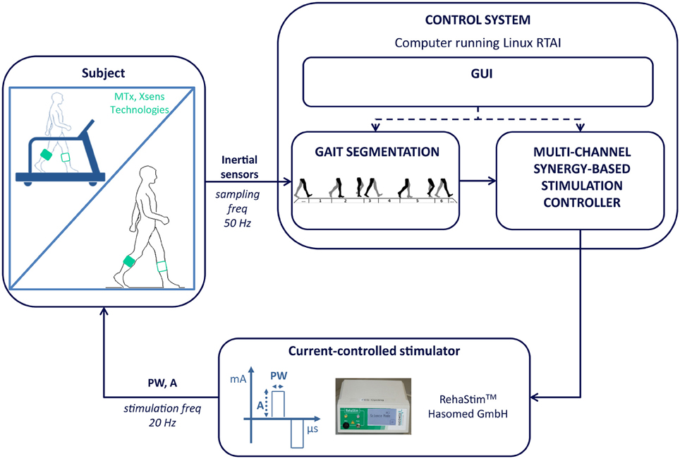 Frontiers | A Personalized Multi-Channel FES Controller Based on Muscle ...