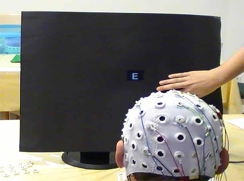 Frontiers | Toward a P300 Based Brain-Computer Interface for Aphasia ...