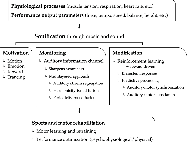 Frontiers | 3Mo: A Model for Music-Based Biofeedback