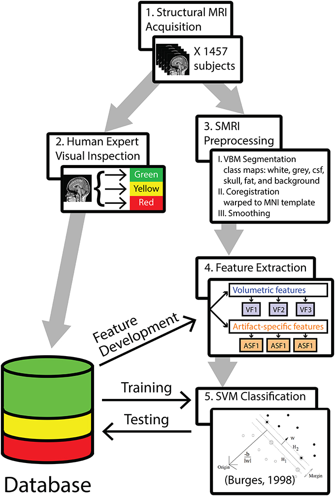 Frontiers | Automated Quality Assessment of Structural Magnetic ...