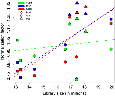 Frontiers | In Papyro Comparison of TMM (edgeR), RLE (DESeq2), and MRN Normalization Methods for ...