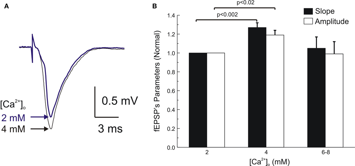 Frontiers | Enduring Medial Perforant Path Short-Term Synaptic ...
