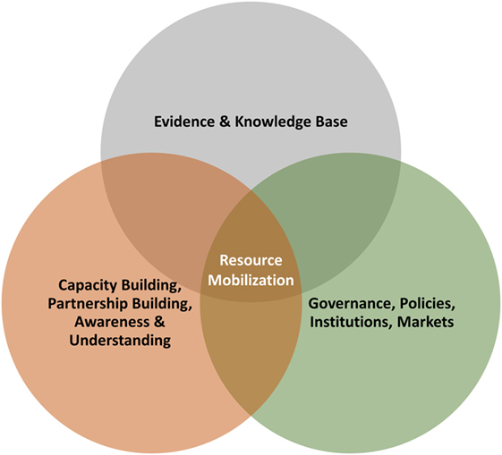 Frontiers | Enabled or Disabled: Is the Environment Right for Using ...