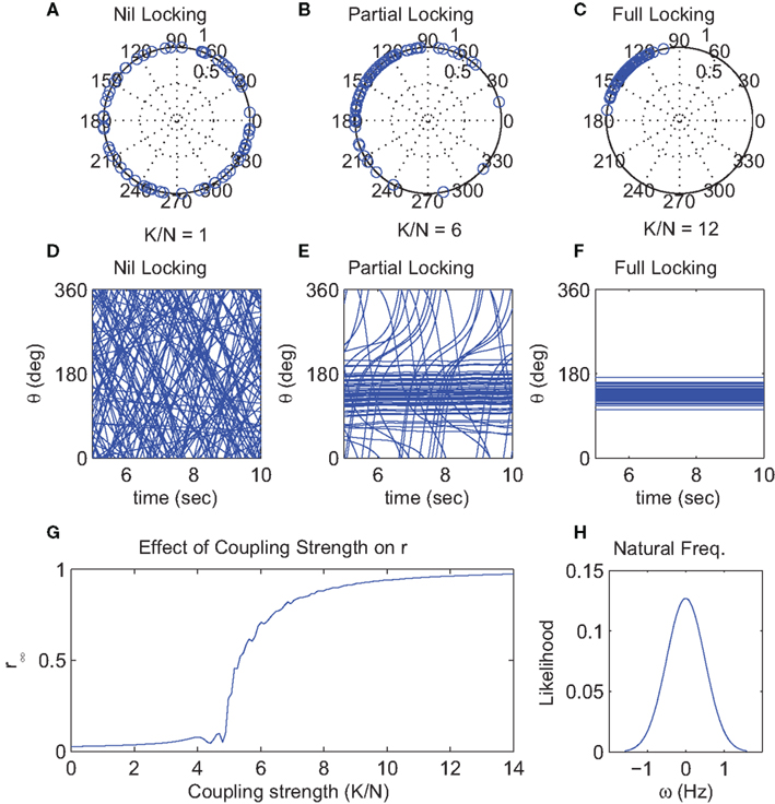 Frontiers | Generative Models of Cortical Oscillations: Neurobiological Implications of the ...