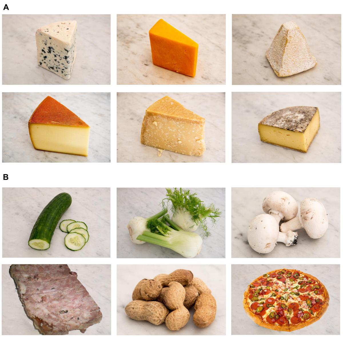 Frontiers | The Neural Bases of Disgust for Cheese: An fMRI Study