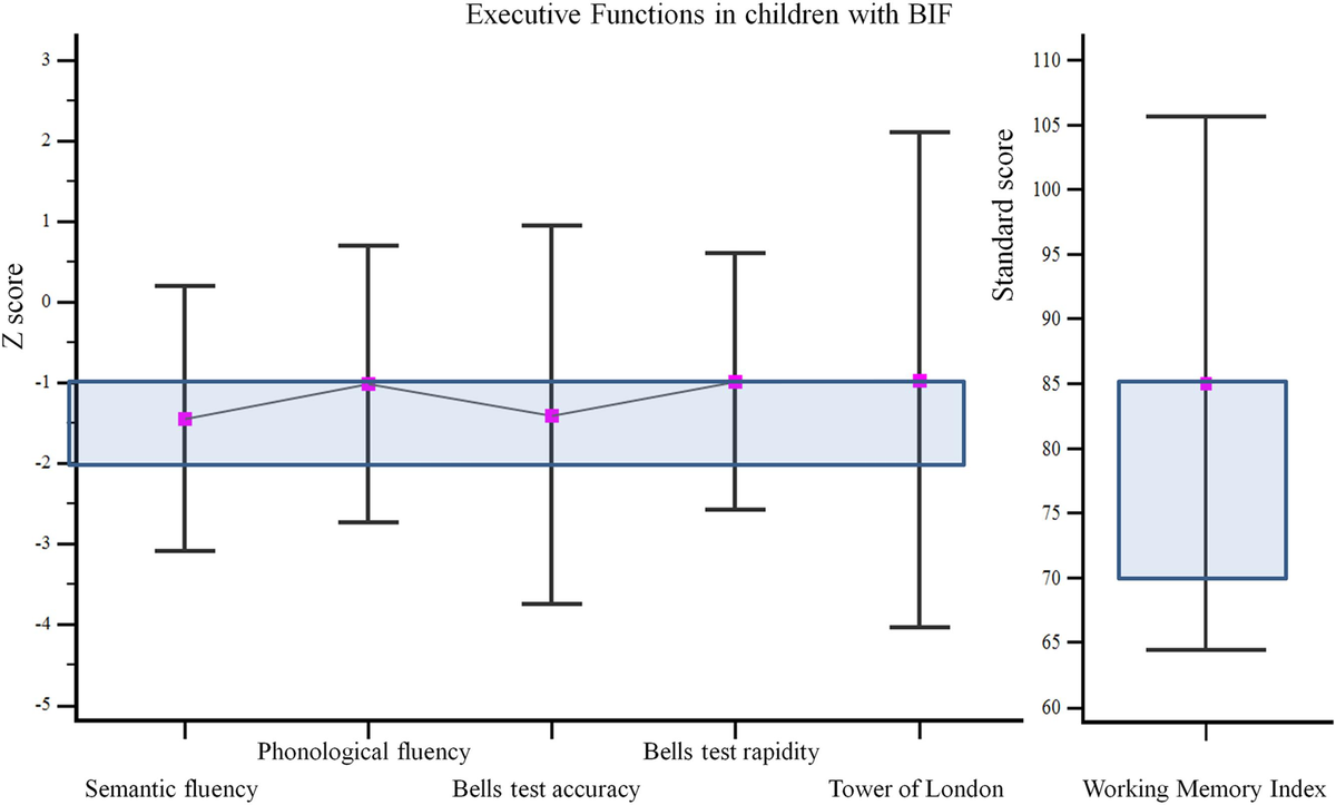 Frontiers | Social Competence in Children with Borderline Intellectual ...