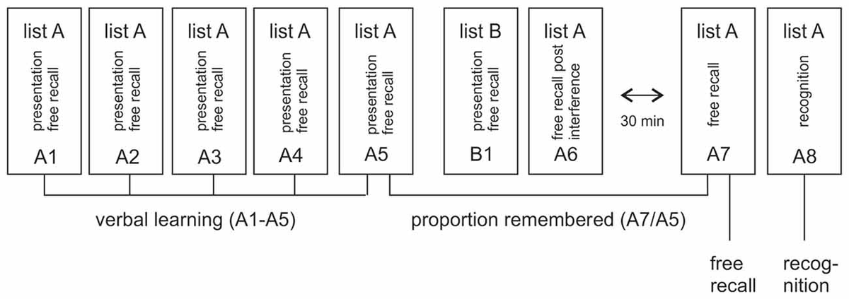 Frontiers | Effects of Age on Long Term Memory for Degraded Speech