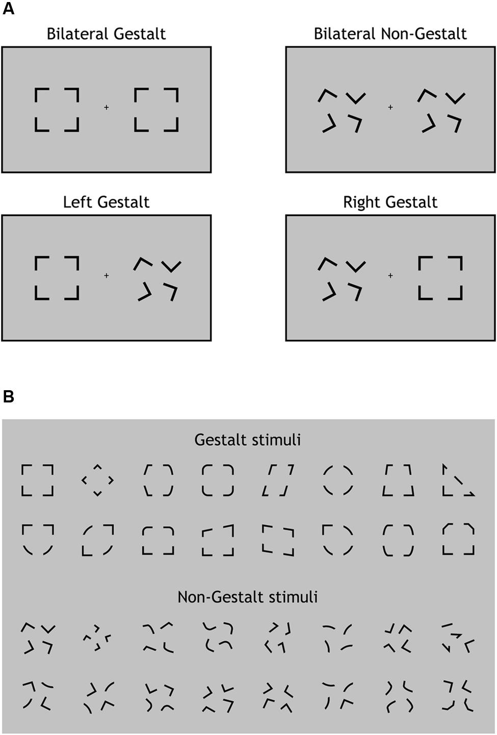 Frontiers | Gestalt Perceptual Organization of Visual Stimuli Captures ...