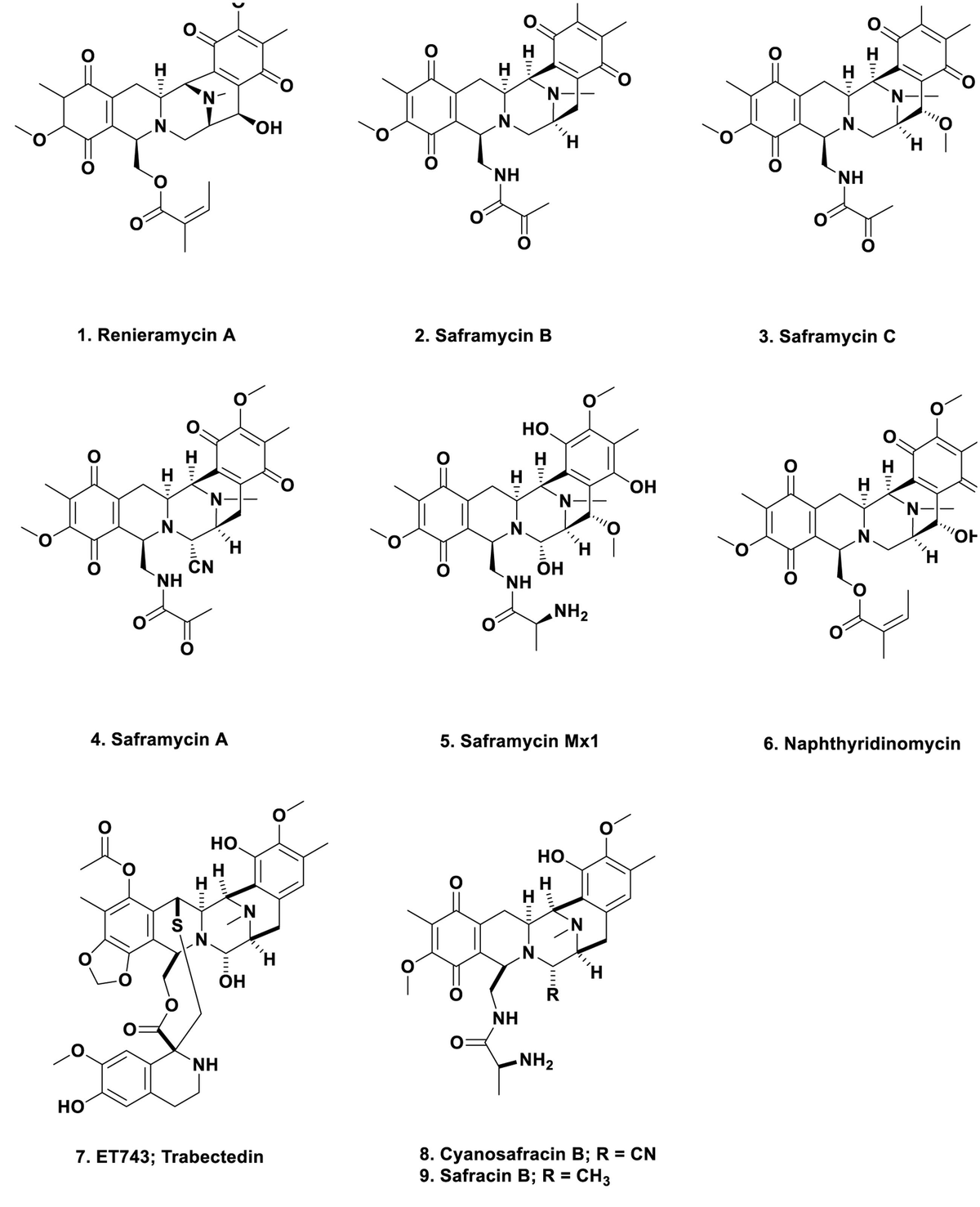 Frontiers | Predominately Uncultured Microbes as Sources of Bioactive ...