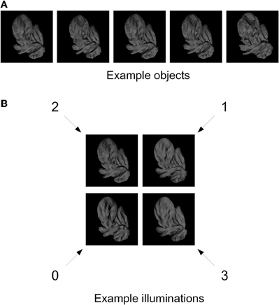 Frontiers | Invariant object recognition based on extended fragments
