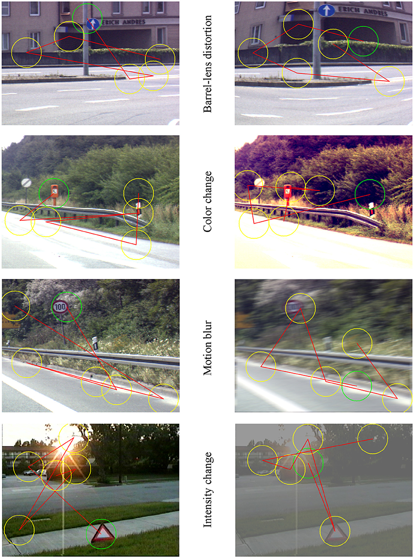 Frontiers | Distorted Low-Level Visual Features Affect Saliency-Based ...