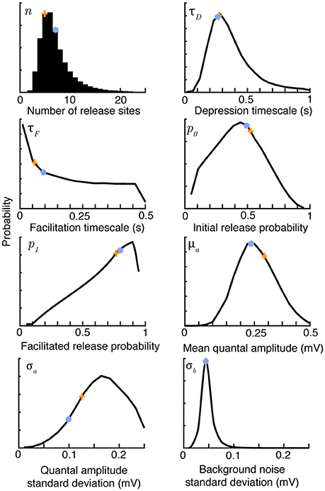 Frontiers | Bayesian Inference of Synaptic Quantal Parameters from ...