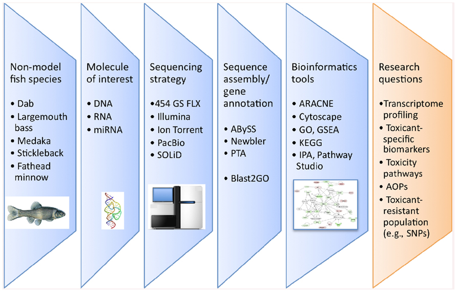Frontiers | Applications for next-generation sequencing in fish ...