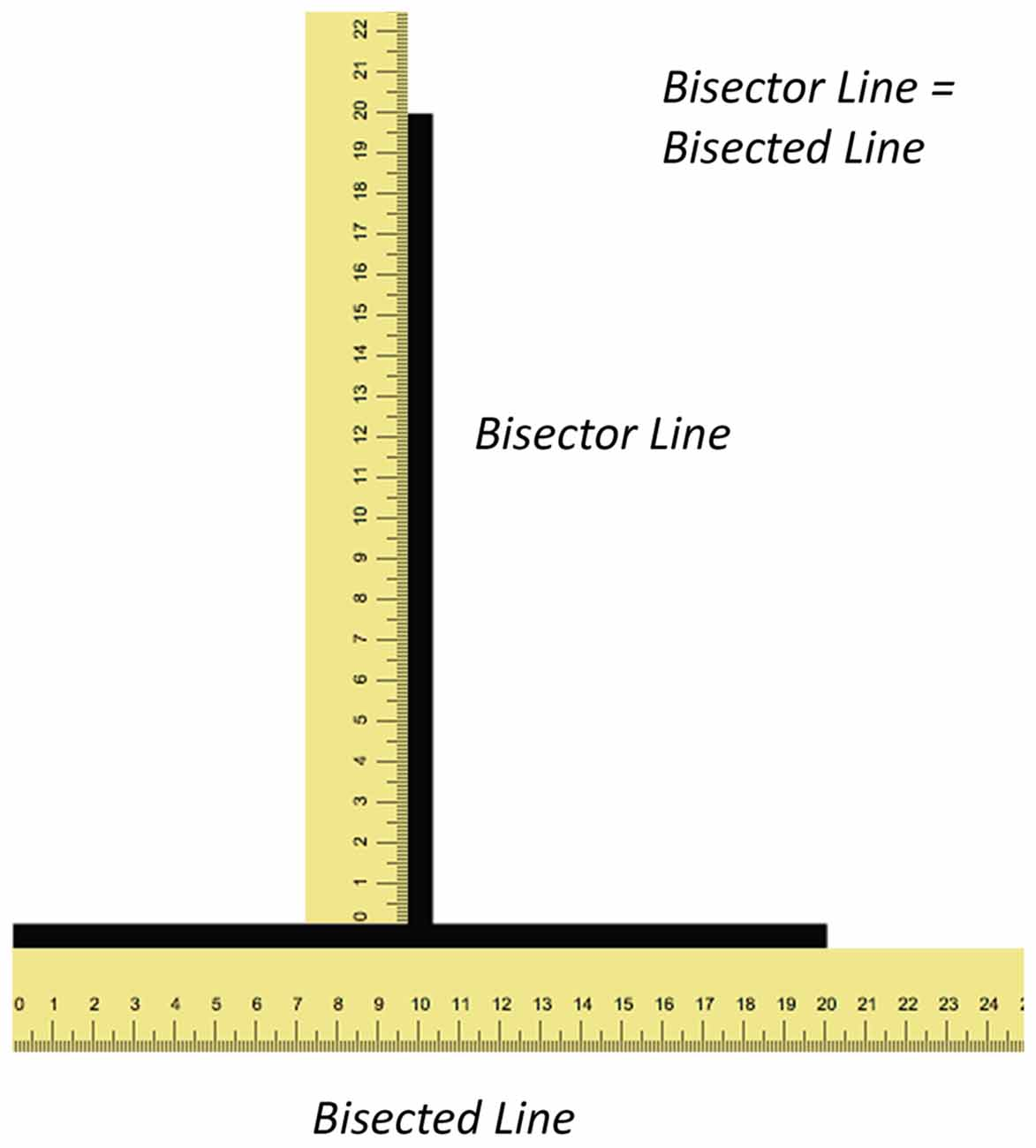 Frontiers | Eye-Tracking Reveals that the Strength of the Vertical ...