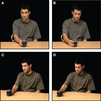 Frontiers | Interaction vs. observation: distinctive modes of social ...