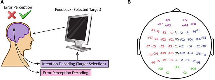 Frontiers | A Generic Transferable EEG Decoder for Online Detection of ...