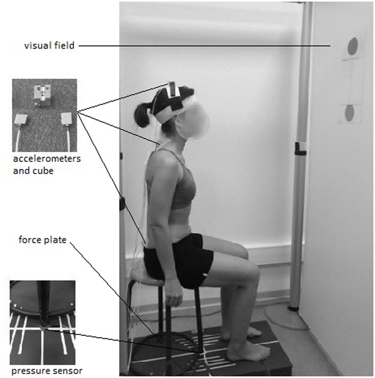 Frontiers | Influence of Cervical Spine Mobility on the Focal and ...
