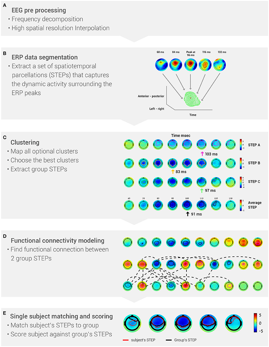 Frontiers | Brain Network Activation Analysis Utilizing Spatiotemporal ...