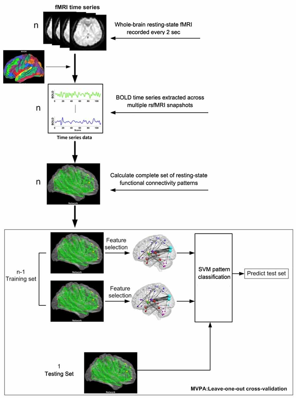 Frontiers | Brief Mental Training Reorganizes Large-Scale Brain Networks
