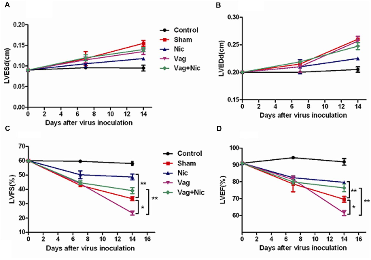 Frontiers | Right Cervical Vagotomy Aggravates Viral Myocarditis in ...