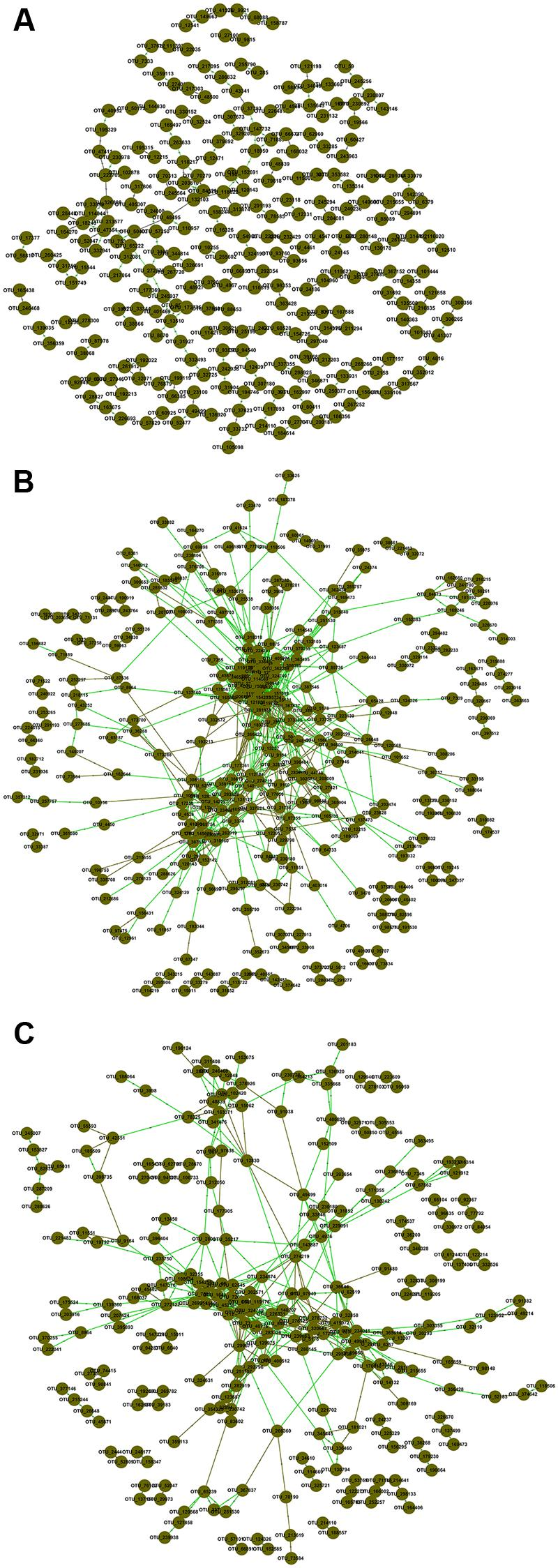 Frontiers | Variations of Soil Microbial Community Structures Beneath ...