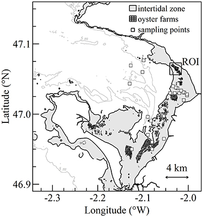 Frontiers | Shellfish Aquaculture from Space: Potential of Sentinel2 to ...