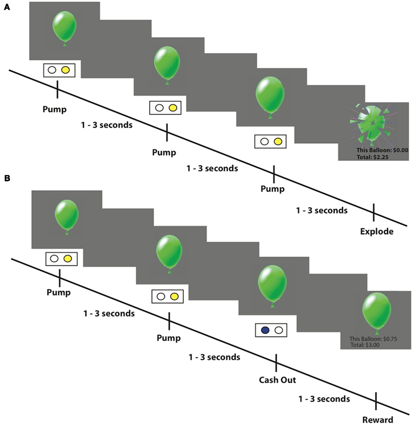 Frontiers | Decreasing Ventromedial Prefrontal Cortex Activity During ...