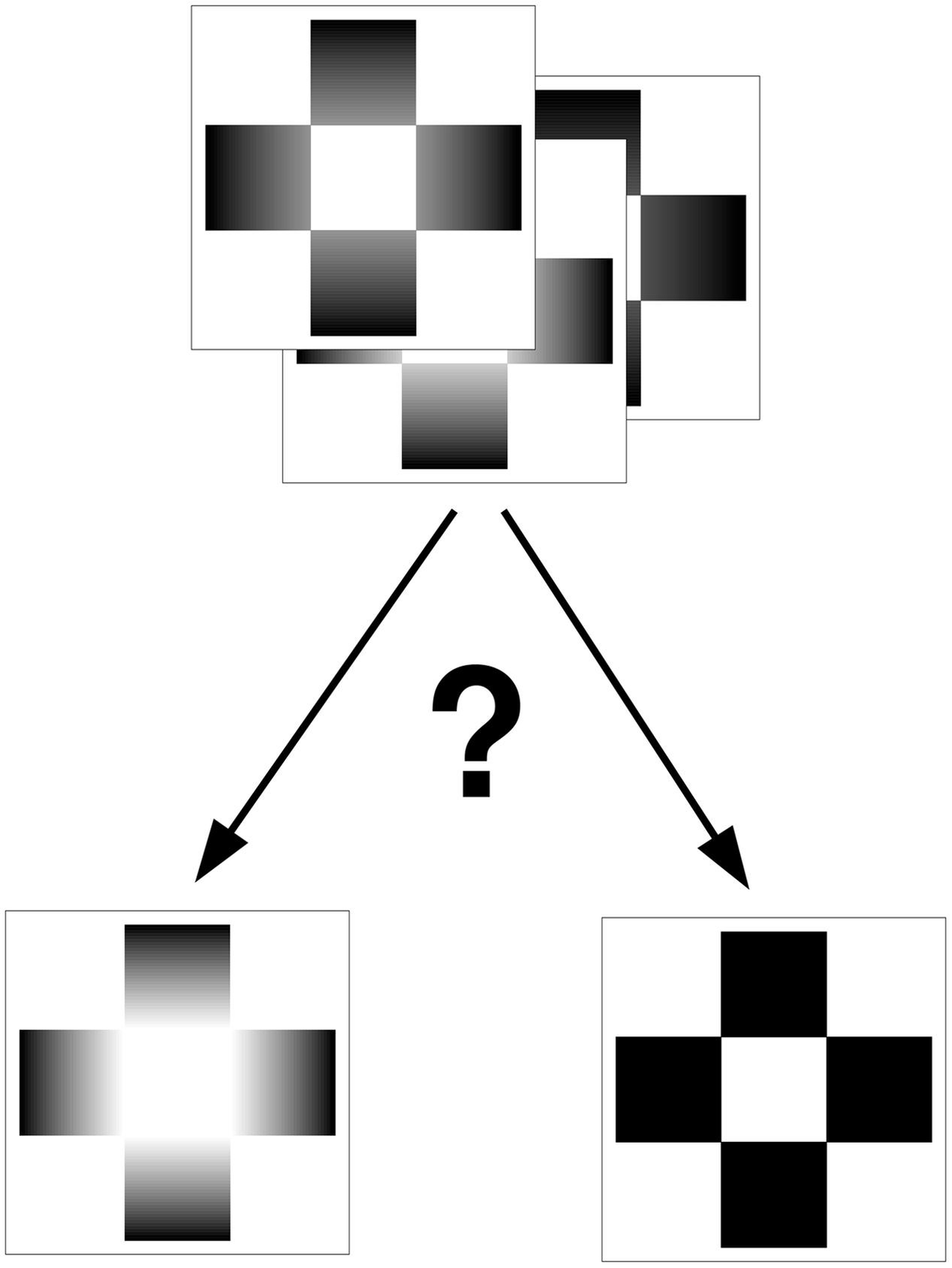 Frontiers | The Glare Effect Test and the Impact of Age on Luminosity ...