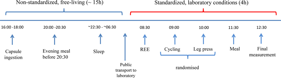 Frontiers | Issues in Continuous 24-h Core Body Temperature Monitoring ...