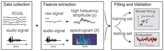 Frontiers | Encoding and Decoding Models in Cognitive Electrophysiology