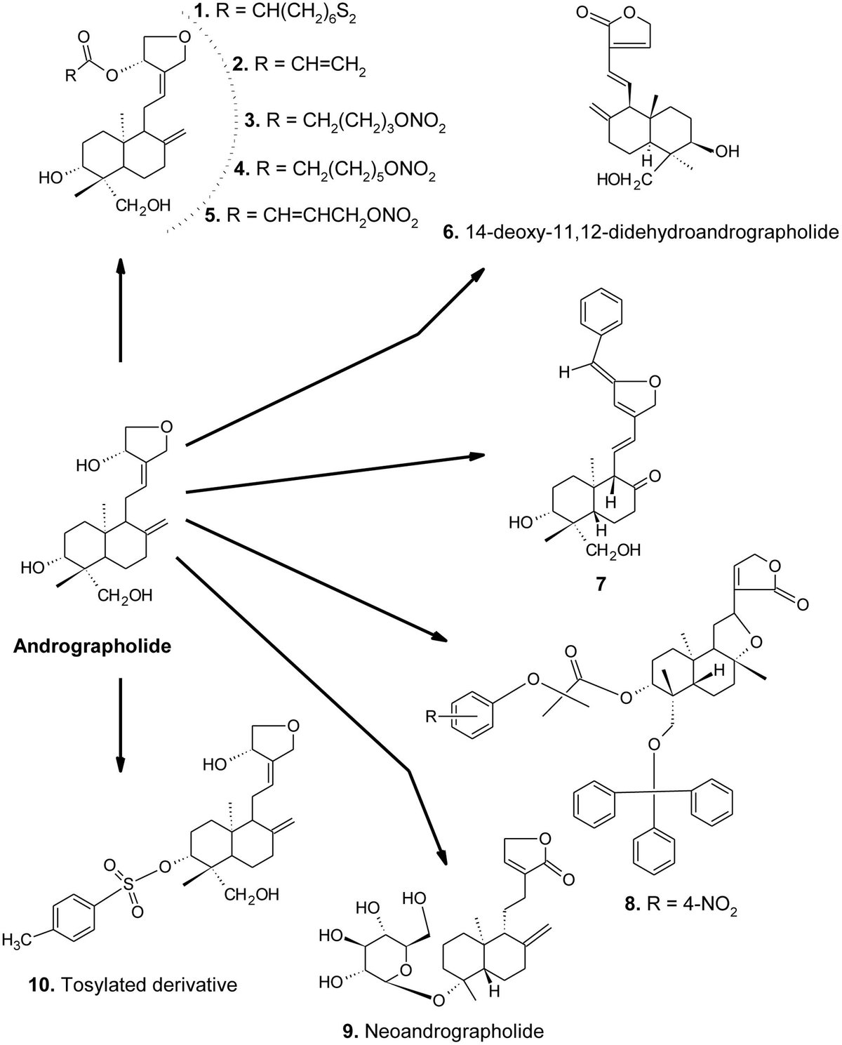 Frontiers | Andrographolide, a New Hope in the Prevention and Treatment ...