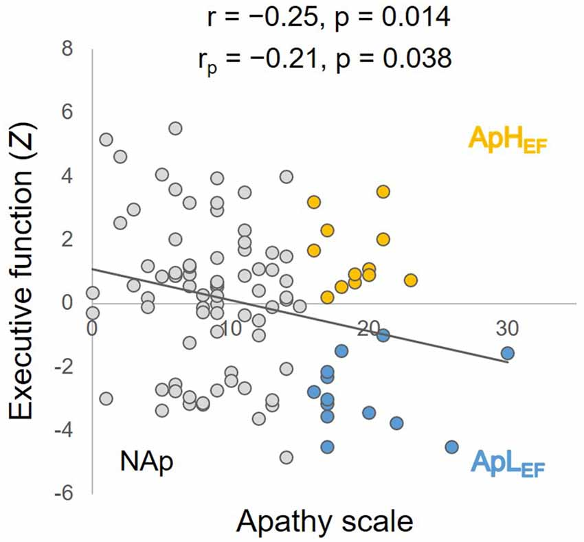 Frontiers | Apathy and Executive Function in Healthy Elderly—Resting ...